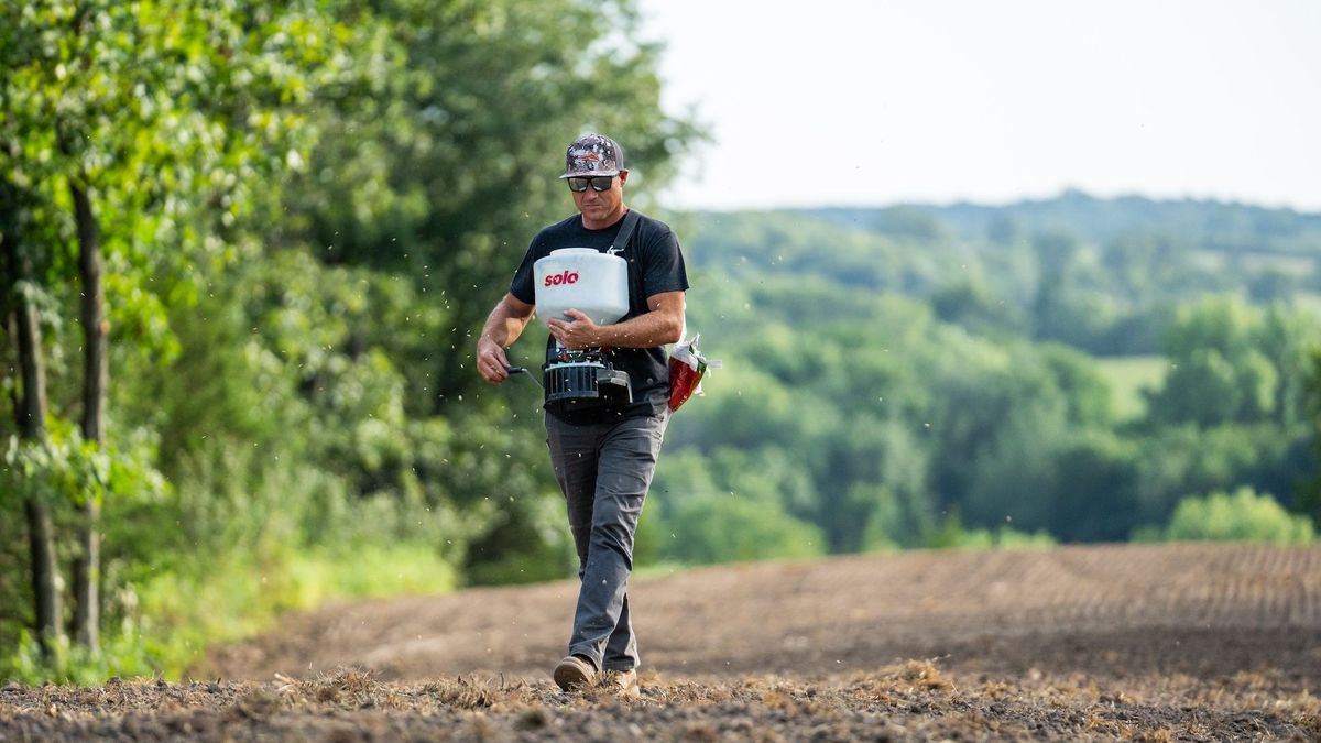 The Best Food Plots for Turkeys | Whitetail Properties