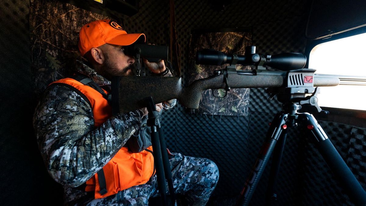 The Best Rifle Cartridges for Deer Season | Whitetail Properties