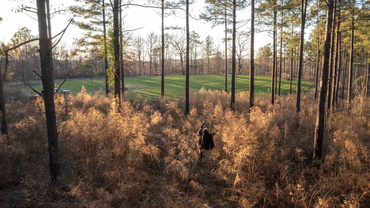 Keeping Land in the Family with a Land Trust | Whitetail Properties