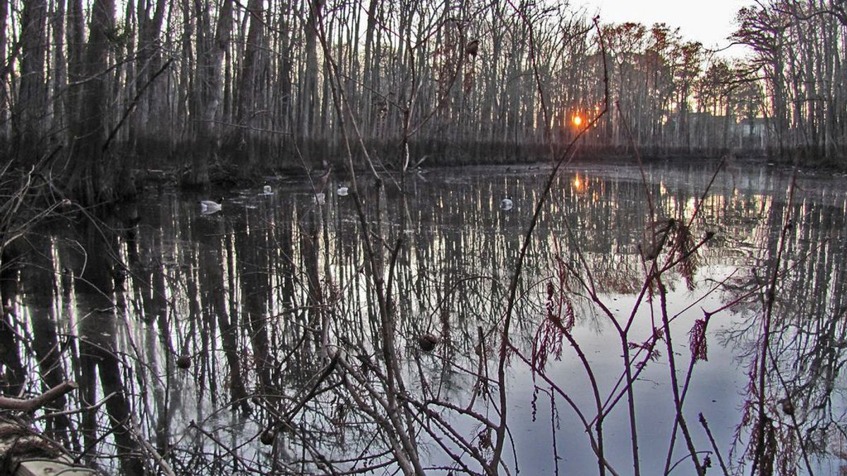 Building a Duck Hole | Whitetail Properties