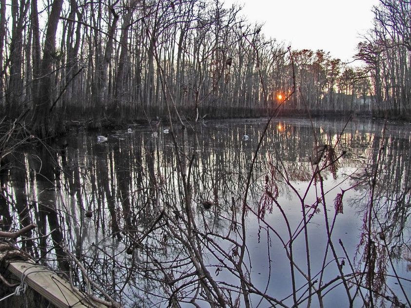 Building a Duck Hole | Whitetail Properties