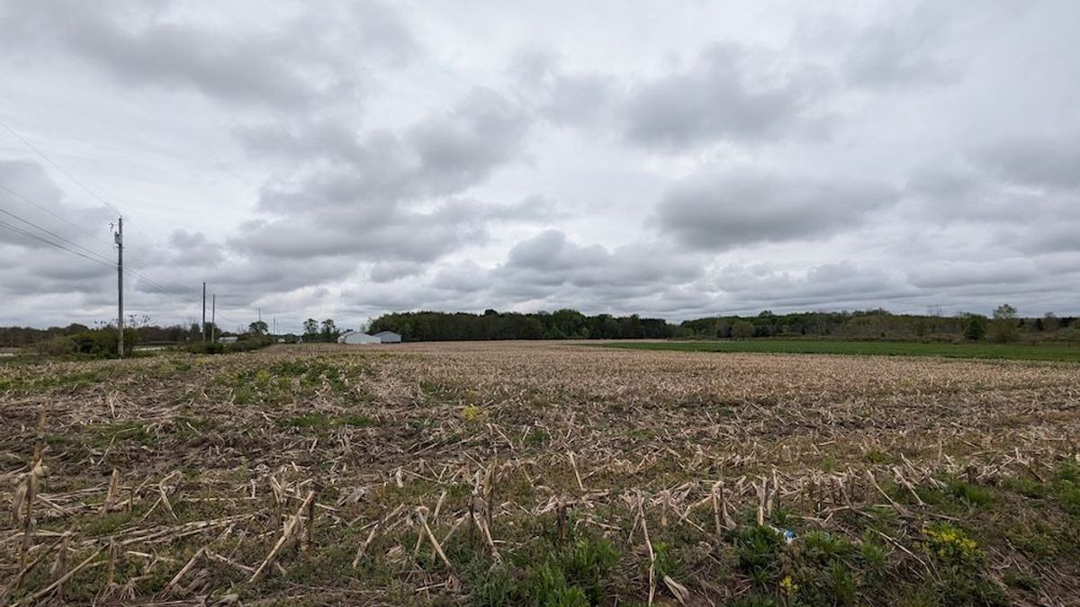 Corner Lot Of Level Productive Farm Ground | Whitetail Properties