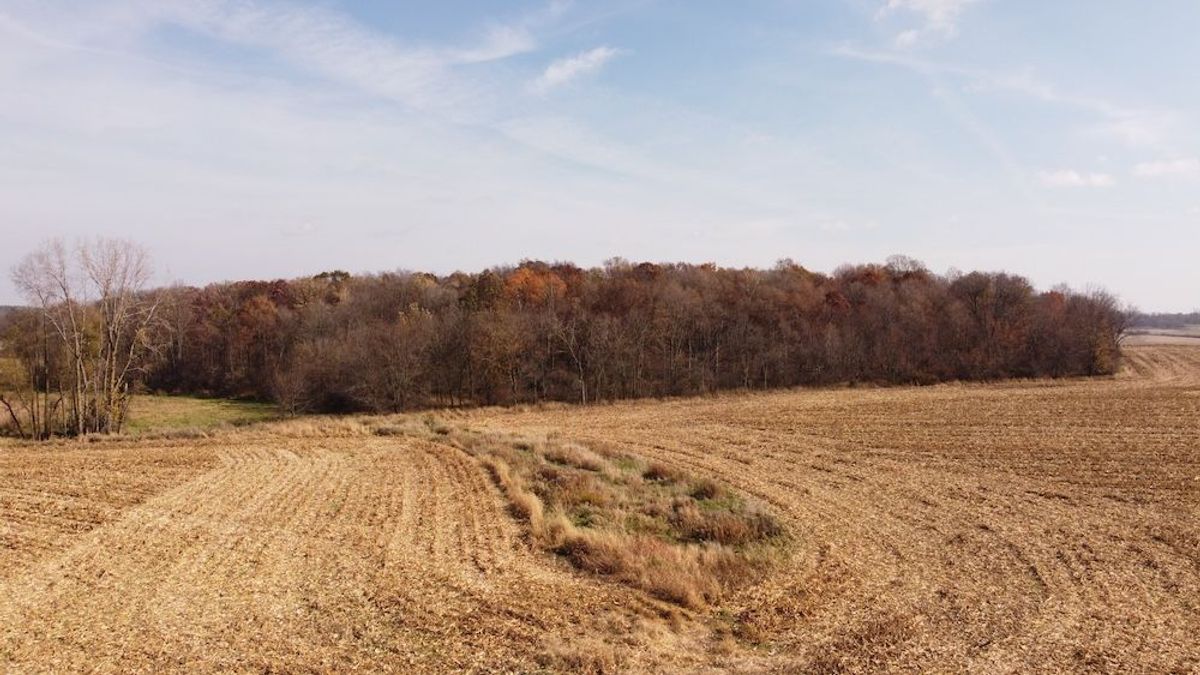 Small Recreational Property With Wooded Acreage, Open Land & Potential ...