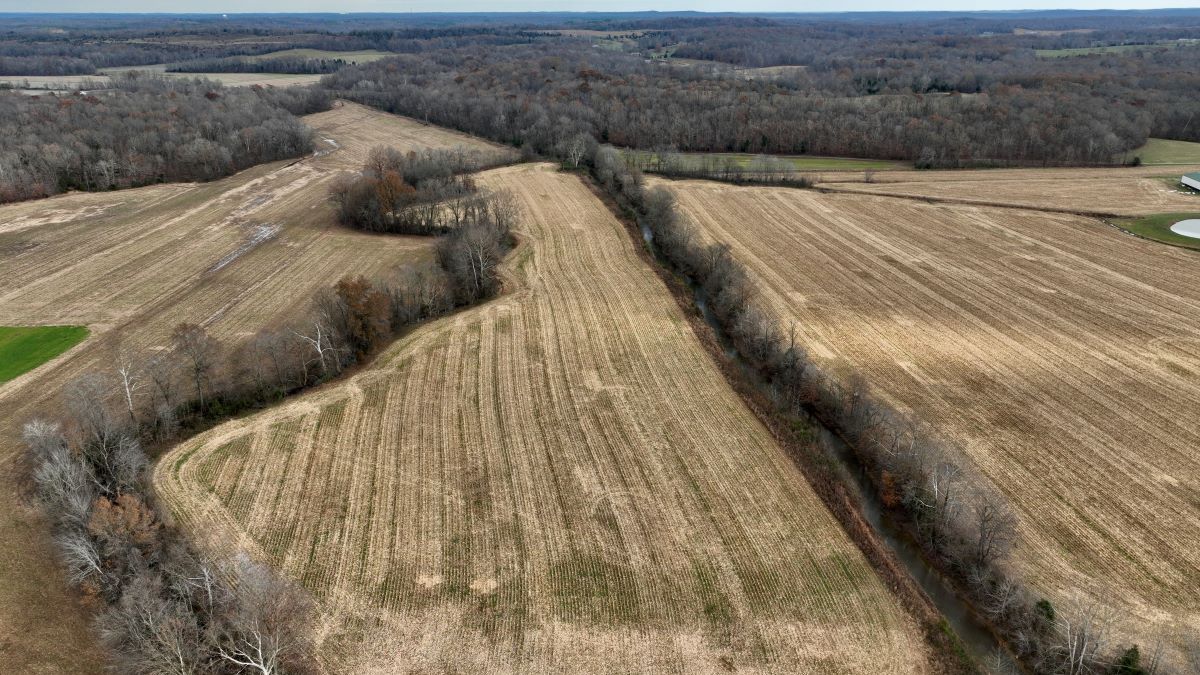 Highly Productive Bottom Land, Tiled And Ready To Grow Crops ...