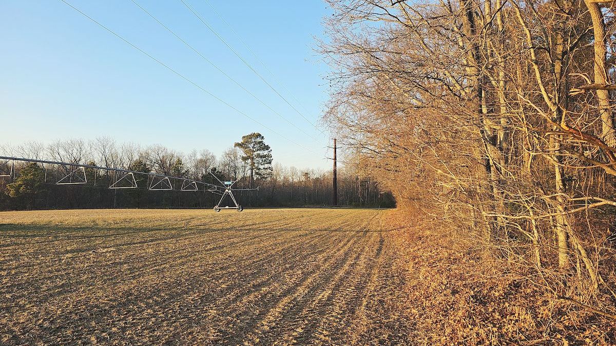 Private Wooded Building Tract With Perc Approval In Dorchester County ...