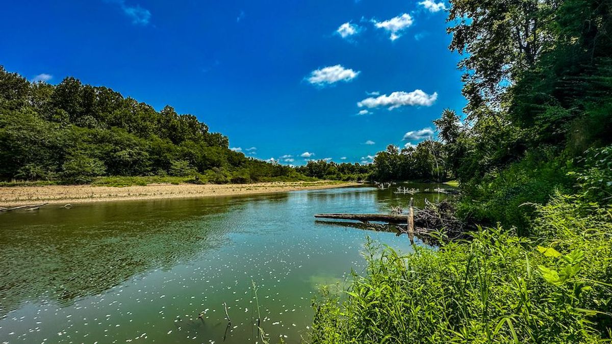 Wooded Lake Property, In Columbus, Along Flat Rock River | Whitetail ...