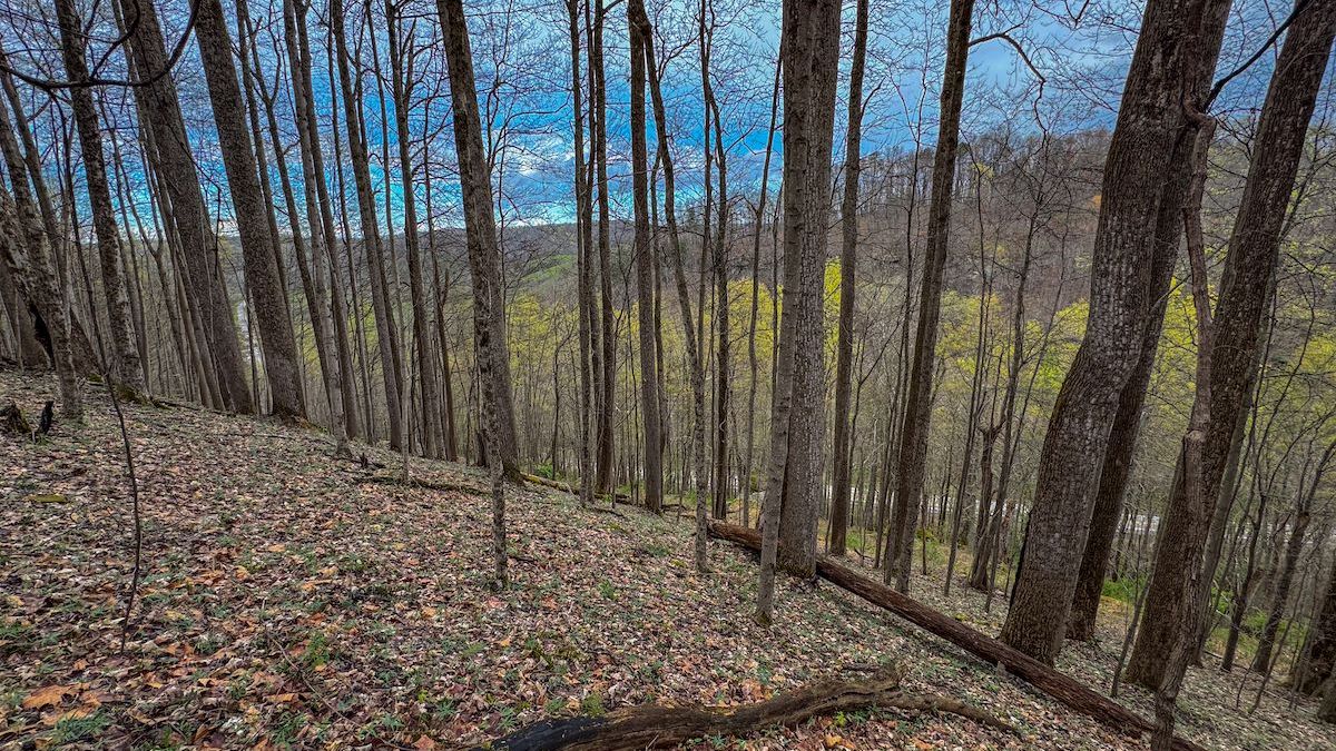 Hunting Tract With Gorgeous Views Overlooking Little Kanawha River ...