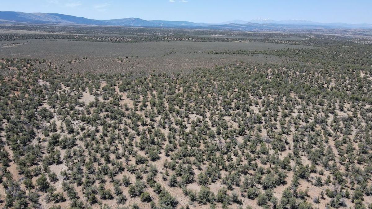 Redvale Hilltop Retreat – 40 Acres | Whitetail Properties