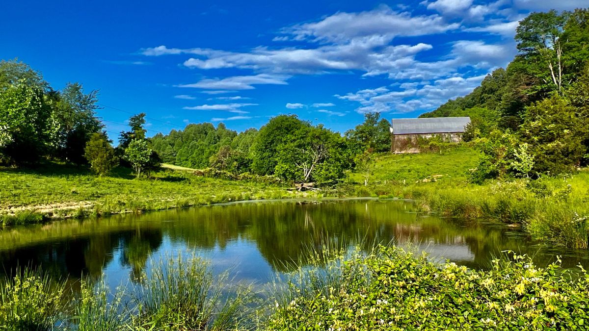 Recreational Hunting Homestead With Acreage Pond And Investment ...