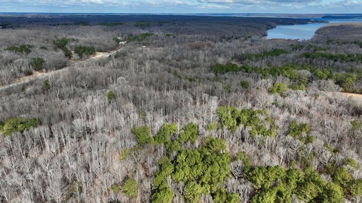 Timber Tract Near Kentucky Lake | Whitetail Properties