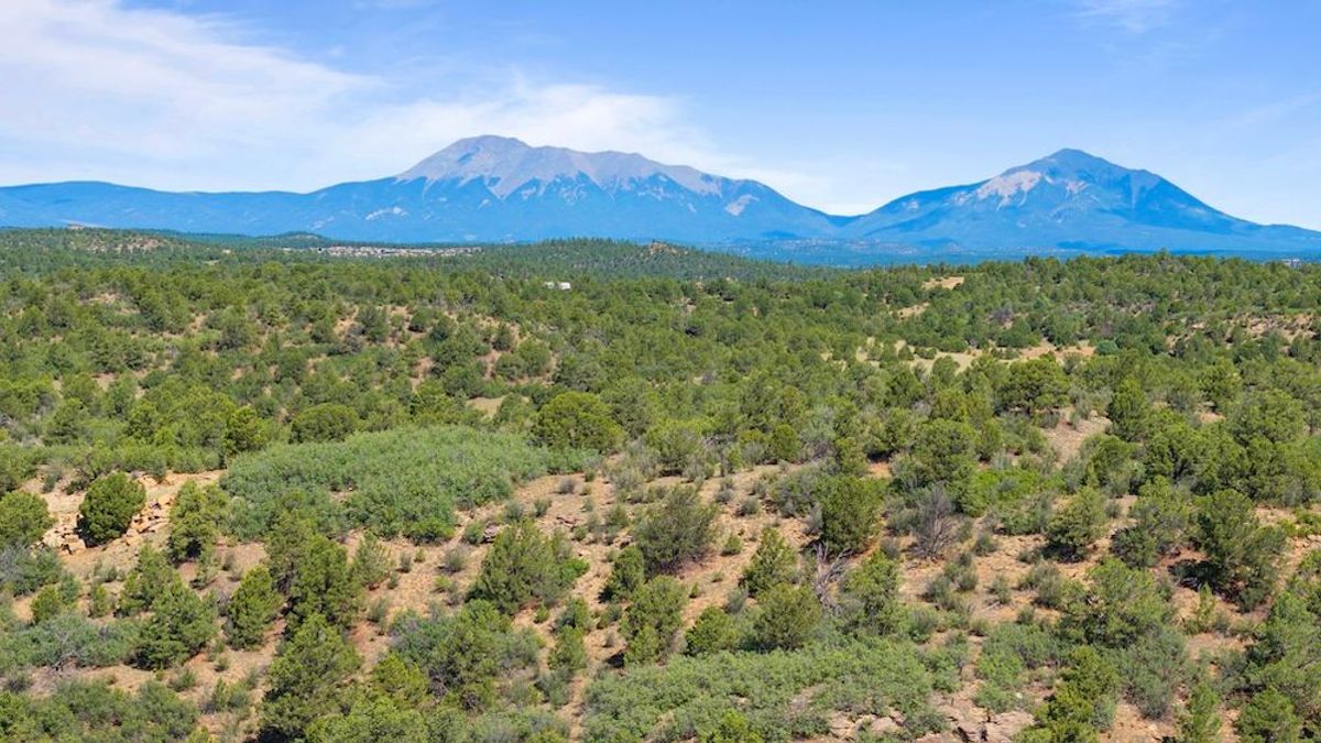 Elevated Building Lot In Plaza De La Vista Subdivision! | Whitetail ...