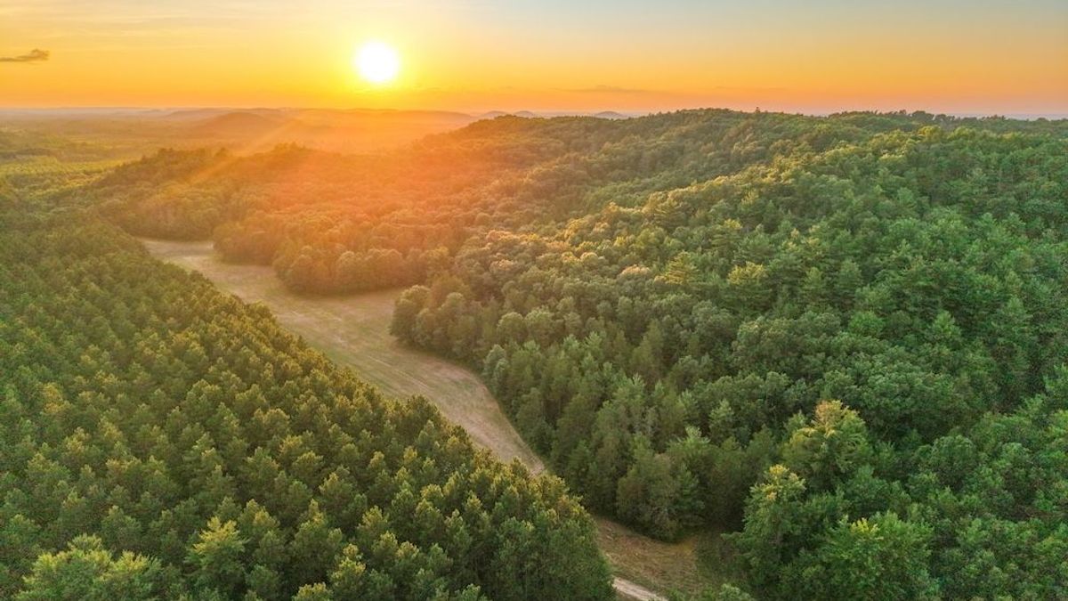 Outstanding Recreational Property With Rolling Topography | Whitetail ...