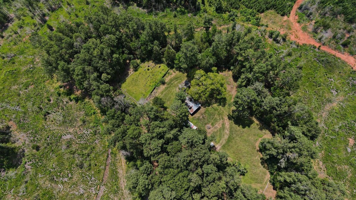 Tranquil Lodge Surrounded By Timberland | Whitetail Properties