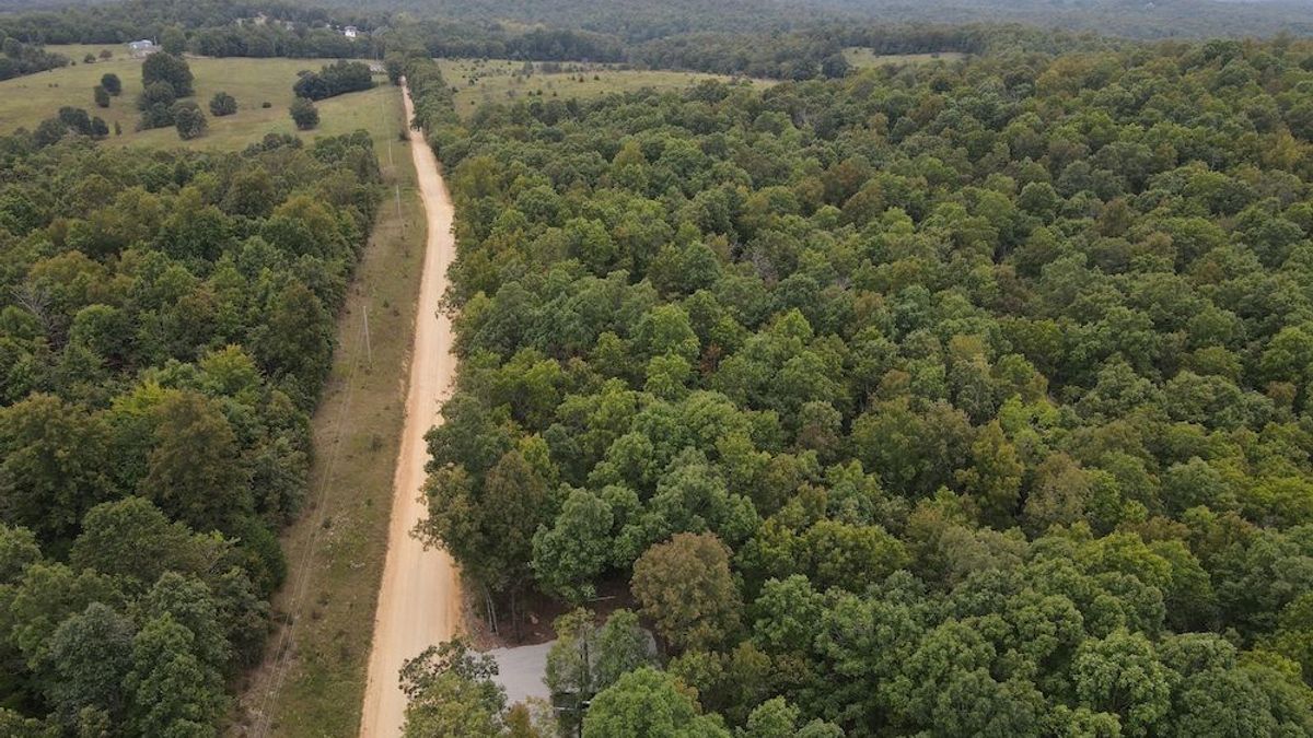 High Quality Timber With Ample Build Sites, Privacy, Good Access And ...