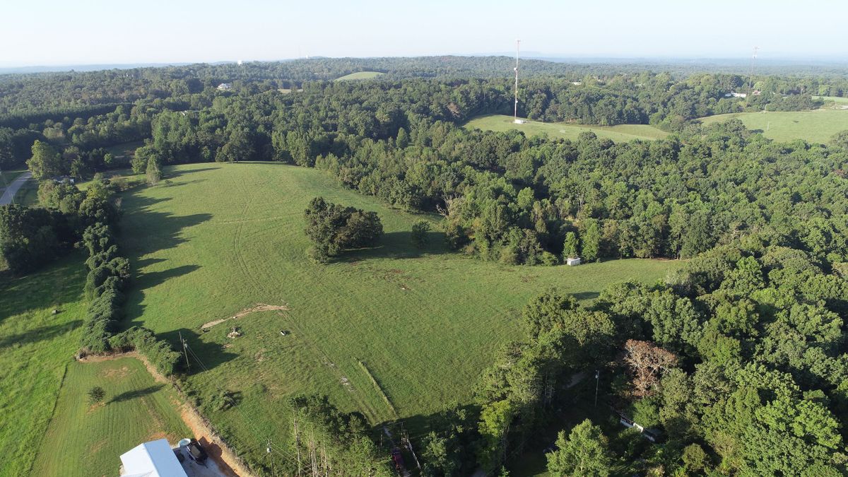 Beautiful Rolling Pasture | Whitetail Properties