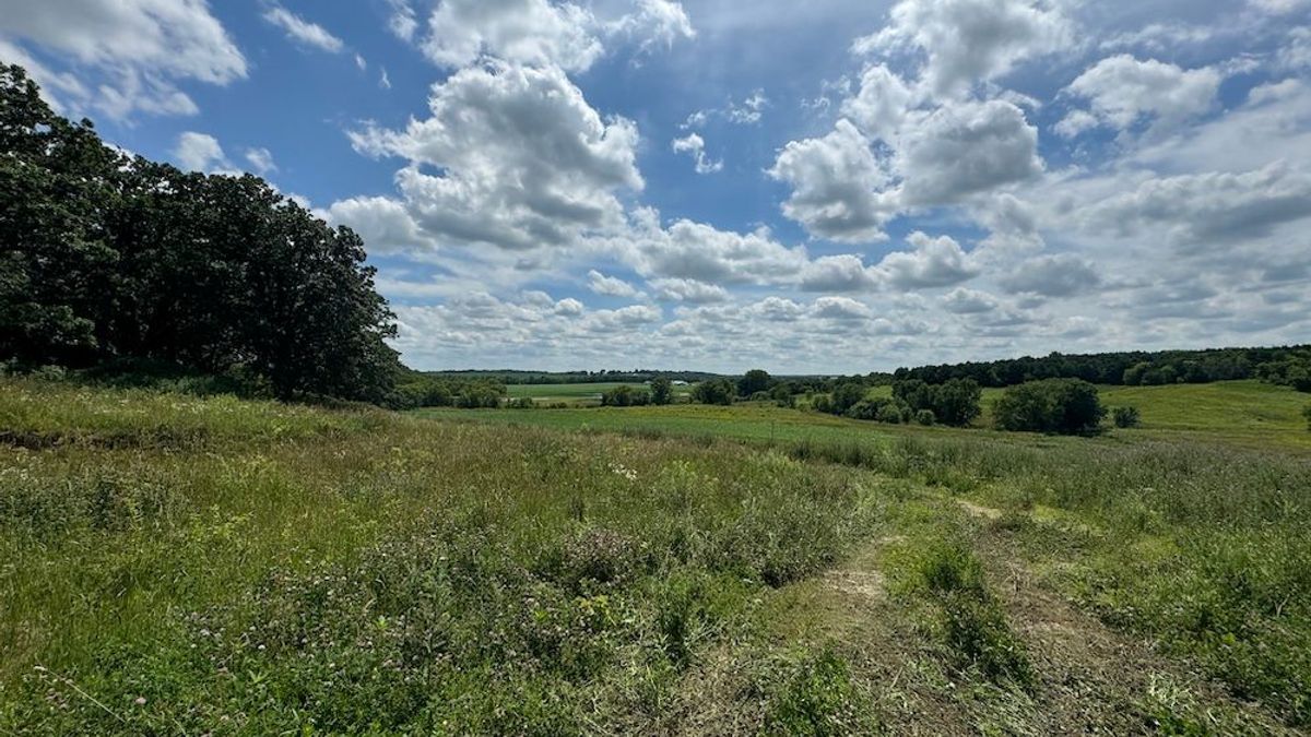 Multiple Building Sites With Fantastic Views | Whitetail Properties