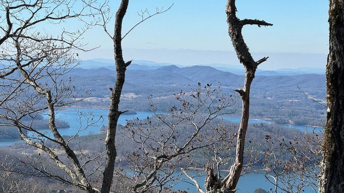 The Fleaback Mountain Retreat With Lake Chatuge Views | Whitetail ...