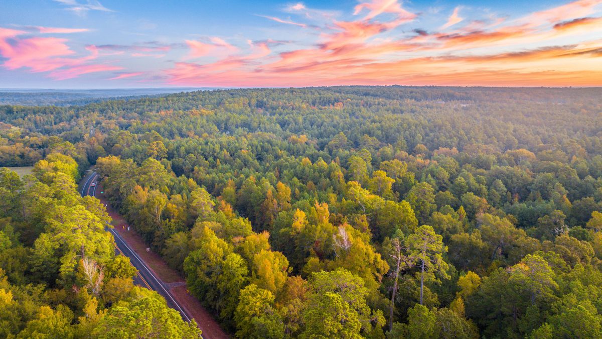 Butler Branch Ranch | Whitetail Properties