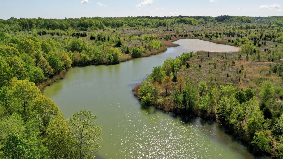 River Bottom Hunting Tract Located Along The Pond River | Whitetail ...