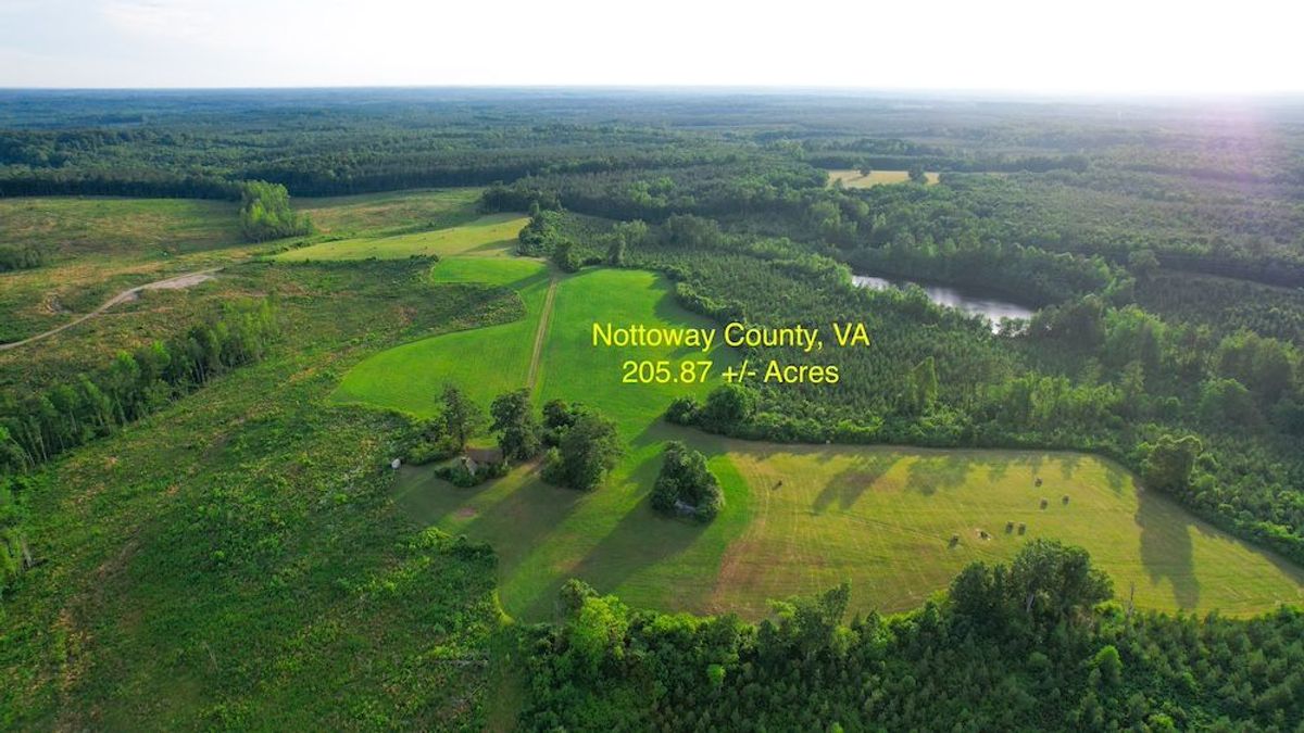Incredible Secluded Farm And Timber Tract In A Great Area | Whitetail ...