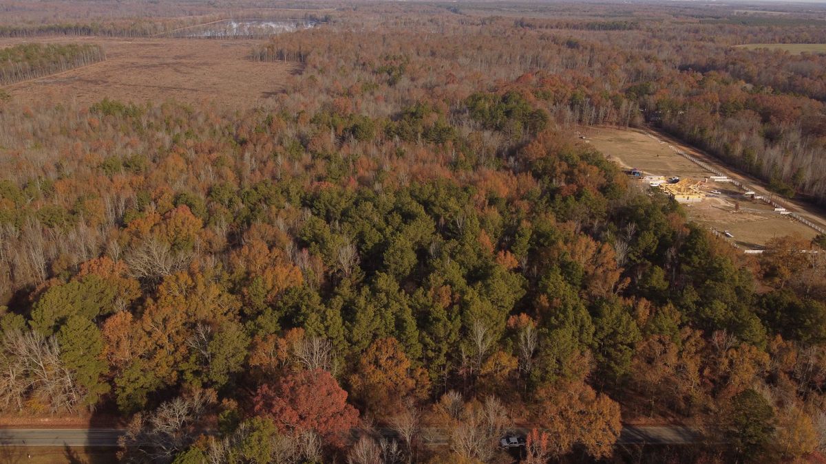 Buildable Acreage With Great Hunting Opportunities | Whitetail Properties