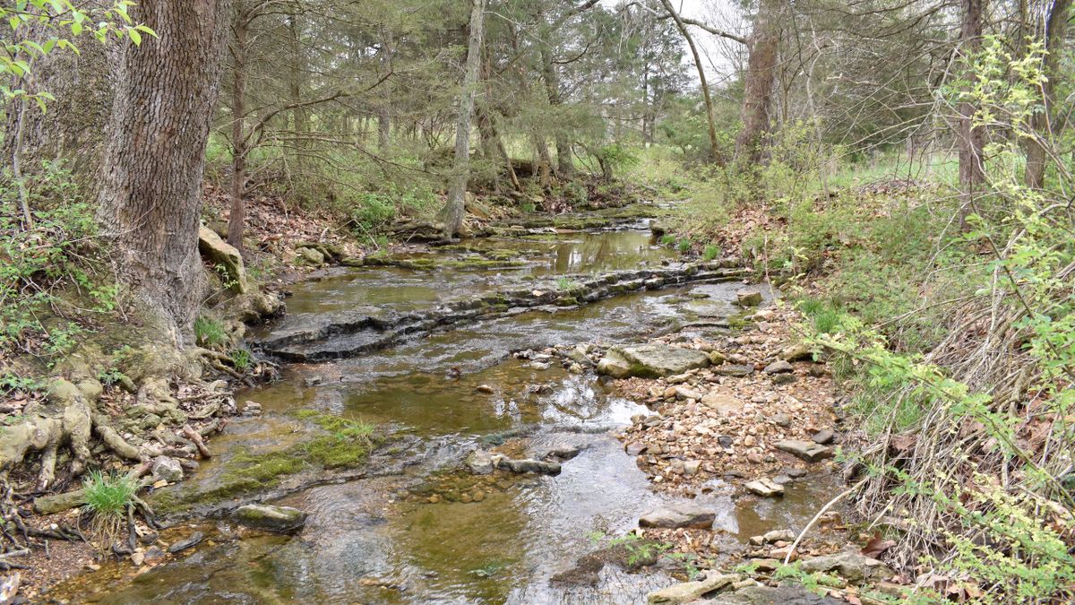 Small Acreage With Paved Road Frontage, Pasture And Spring-Fed Creek ...