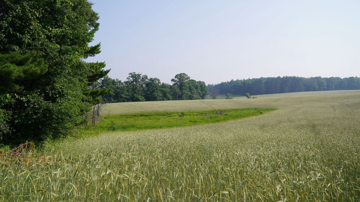 Tillable Ground And Gently Rolling Terrain With Waterfront Views In ...