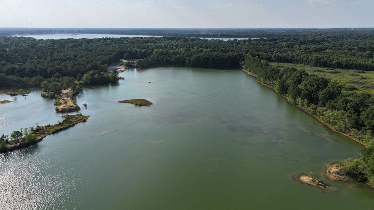 Picturesque Recreational And Hunting Parcel With Lake | Whitetail ...