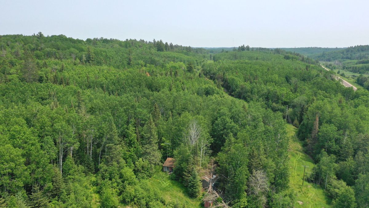 Timbered Property With Cabin, Hilly Topography Bordering Public Land ...