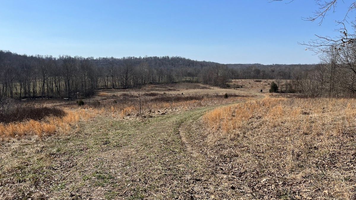 Versatile Property With Open And Wooded Acreage | Whitetail Properties
