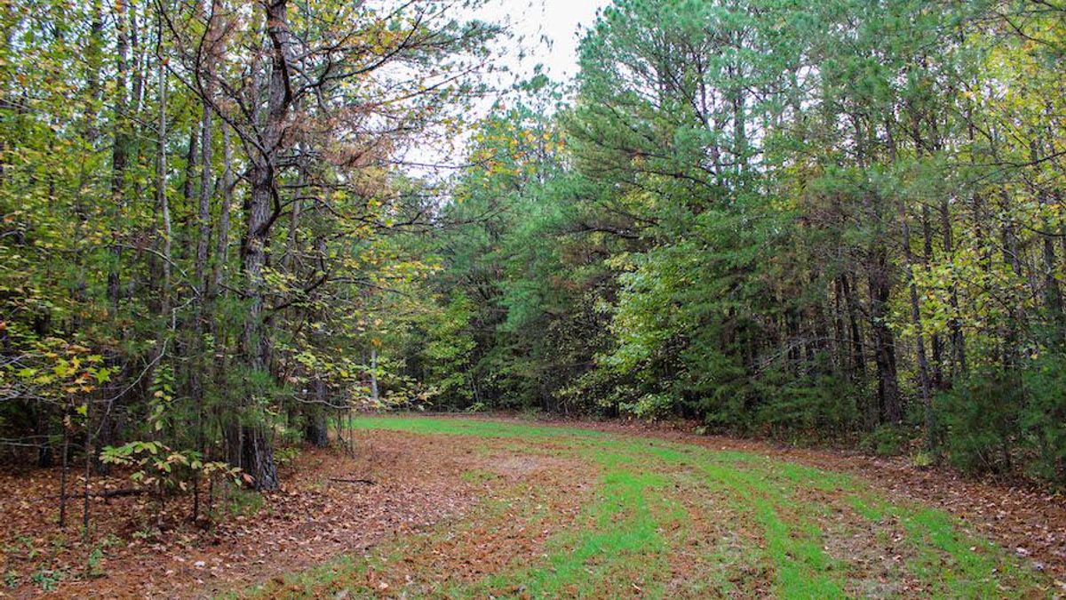 Oakman, Alabama Hunting And Recreation Tract With Food Plot, Trails ...
