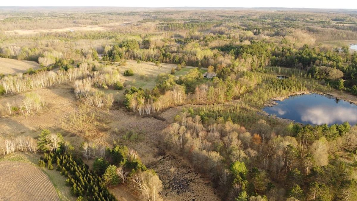 Small Buildable Partially Wooded Parcel With Hunting Potential ...