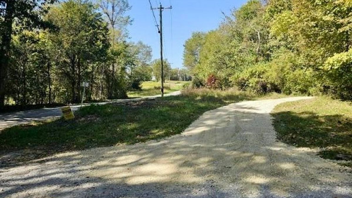 Buildable Expansive Property With Mature Timber And Excellent Hunting ...