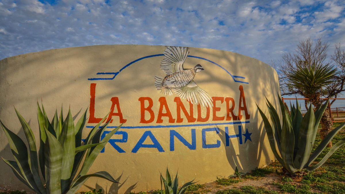 La Bandera Ranch | Whitetail Properties