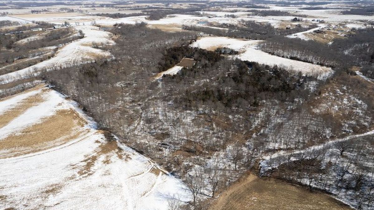 Thick And Secluded Hunting Property With Super Deer History | Whitetail ...