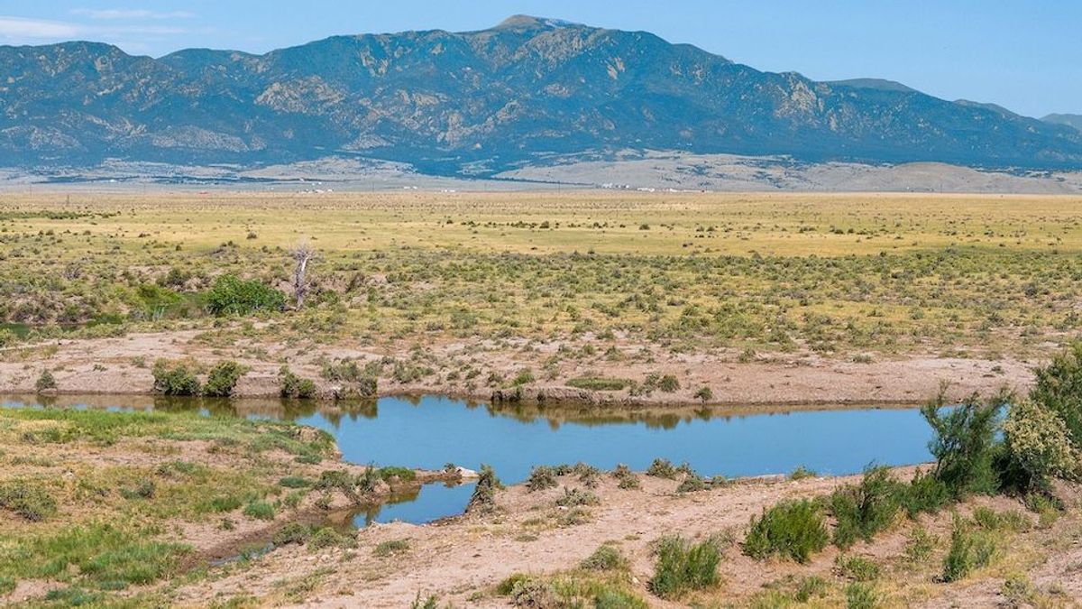Open Plains Parcel With Wildlife And Big Views | Whitetail Properties