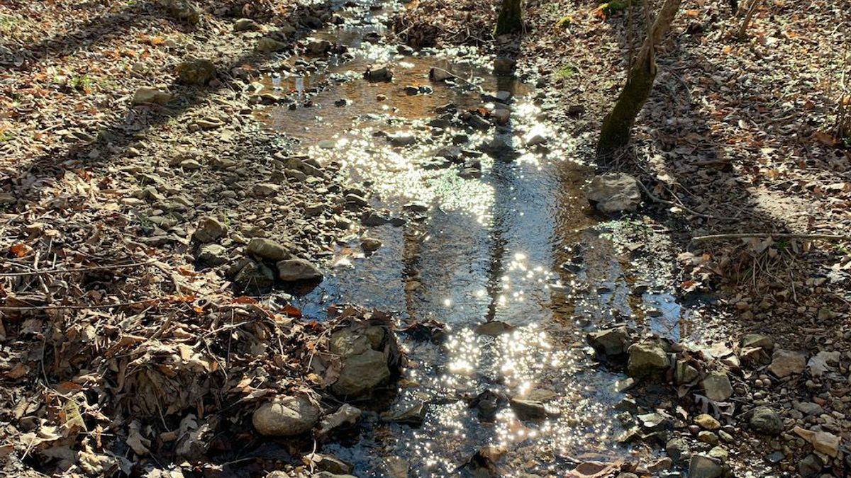 Buildable Acreage With Stream, Road Frontage And Access Trails ...