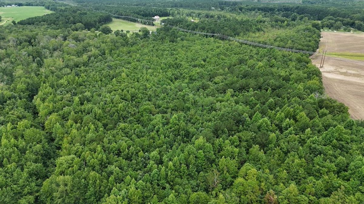 Hunting And Recreation Retreat With Mature Timber, Wetlands And ...