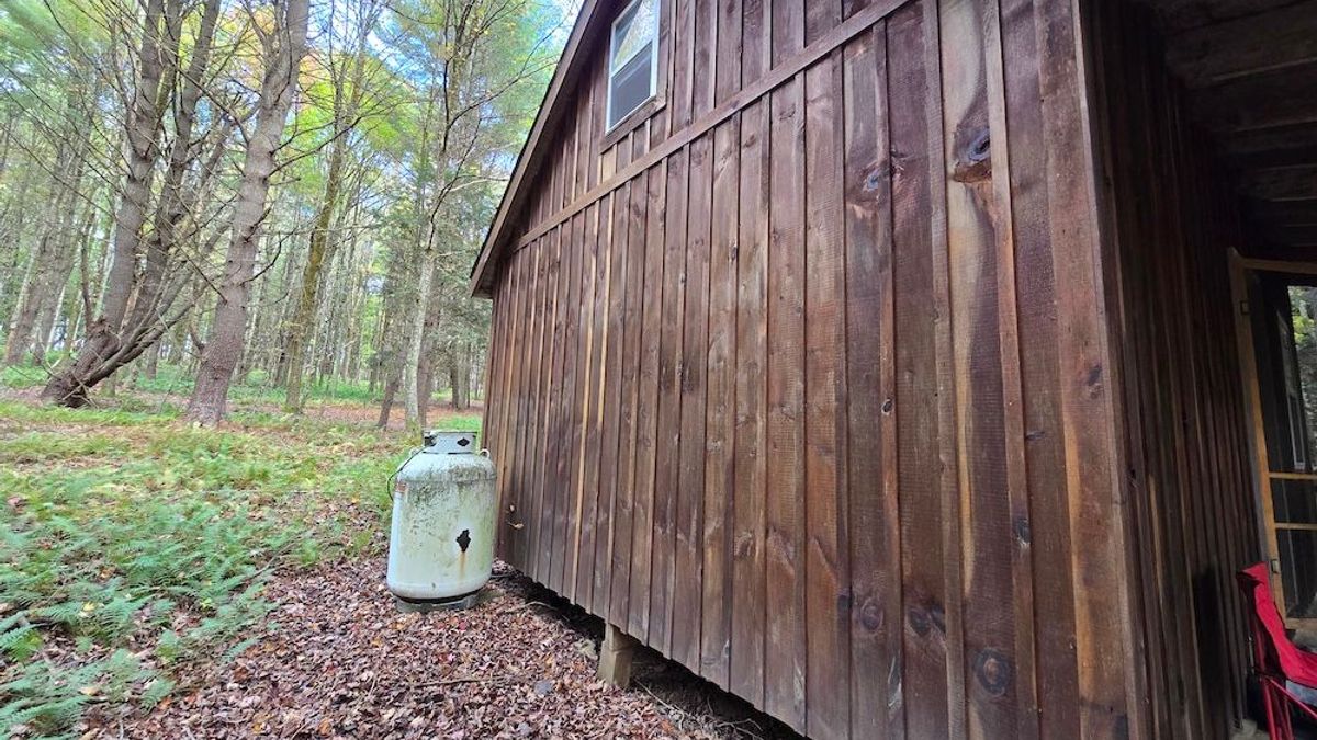 Affordable Dream: Rustic Cabin In The Woods, Quiet, Private Drive ...