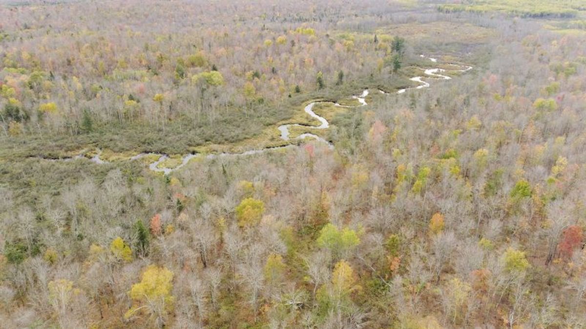 Nicely Timbered Hunting Land On Tupper Creek In Northern Wisconsin ...