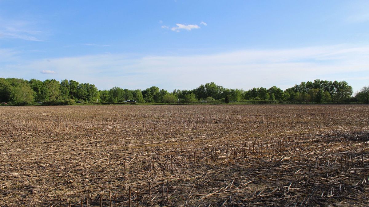 Tillable Ground For Food Plots Or Crops In Southwest Ohio | Whitetail ...