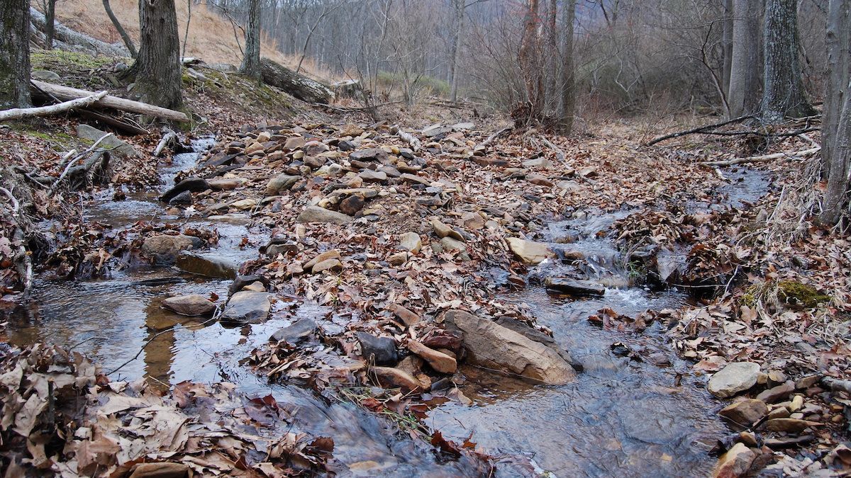 Gorgeous Unrestricted Land With Intermittent Stream | Whitetail Properties