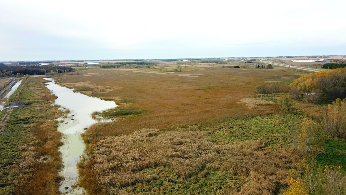 Historical Grass Lake Wetland Basin in Western MN | Whitetail Properties