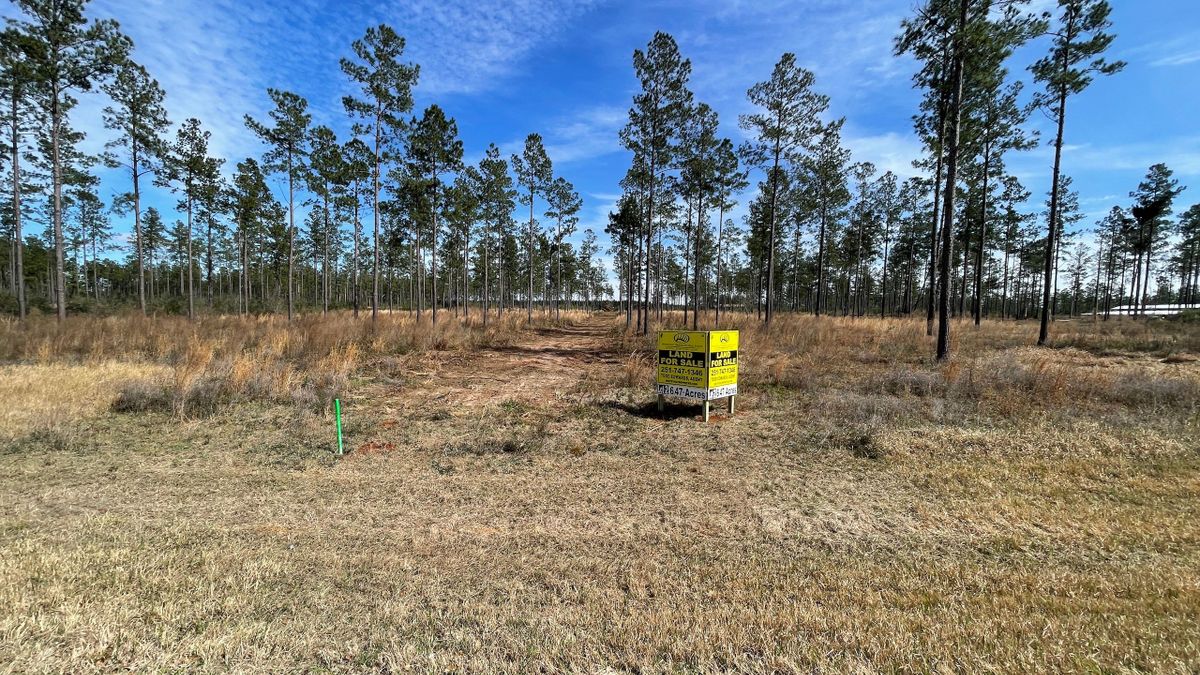Beautiful Wooded Lot With Residential Home Site Potential | Whitetail ...