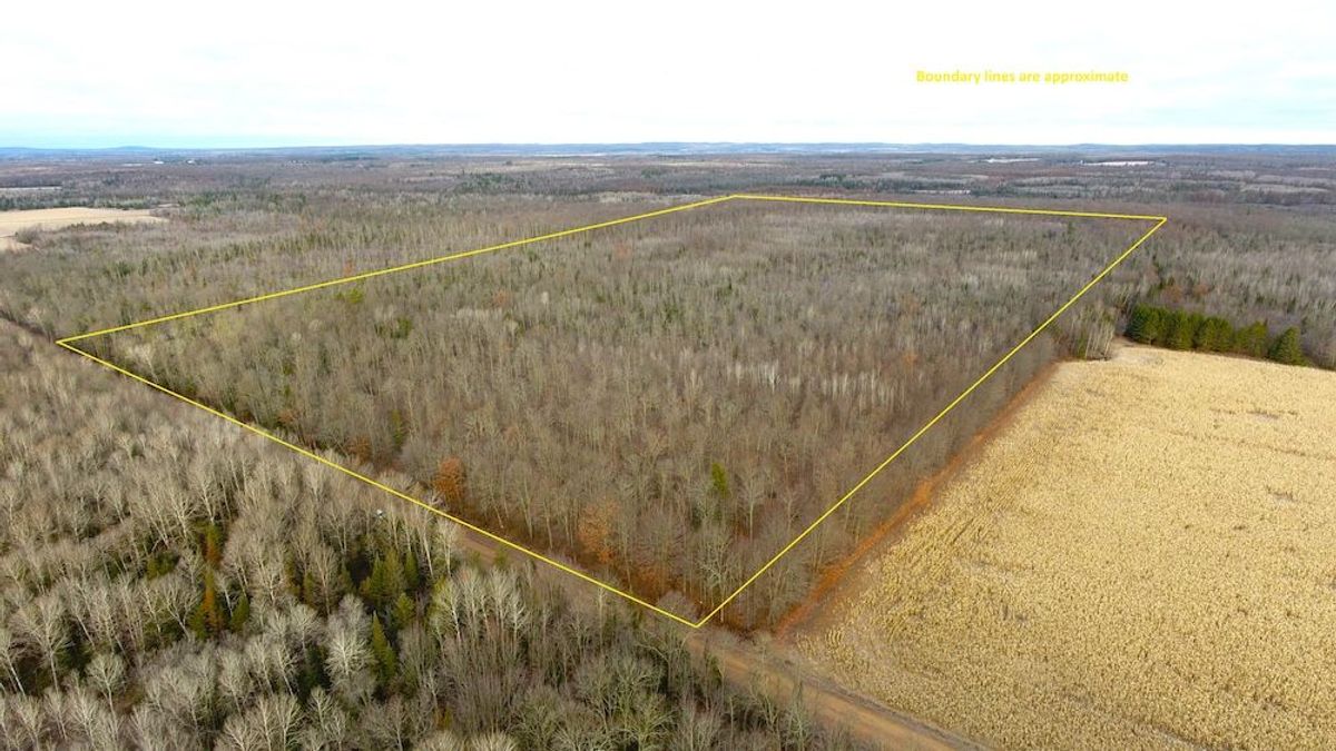 Beautiful Hardwood Timber Tract With Big Buck History | Whitetail ...