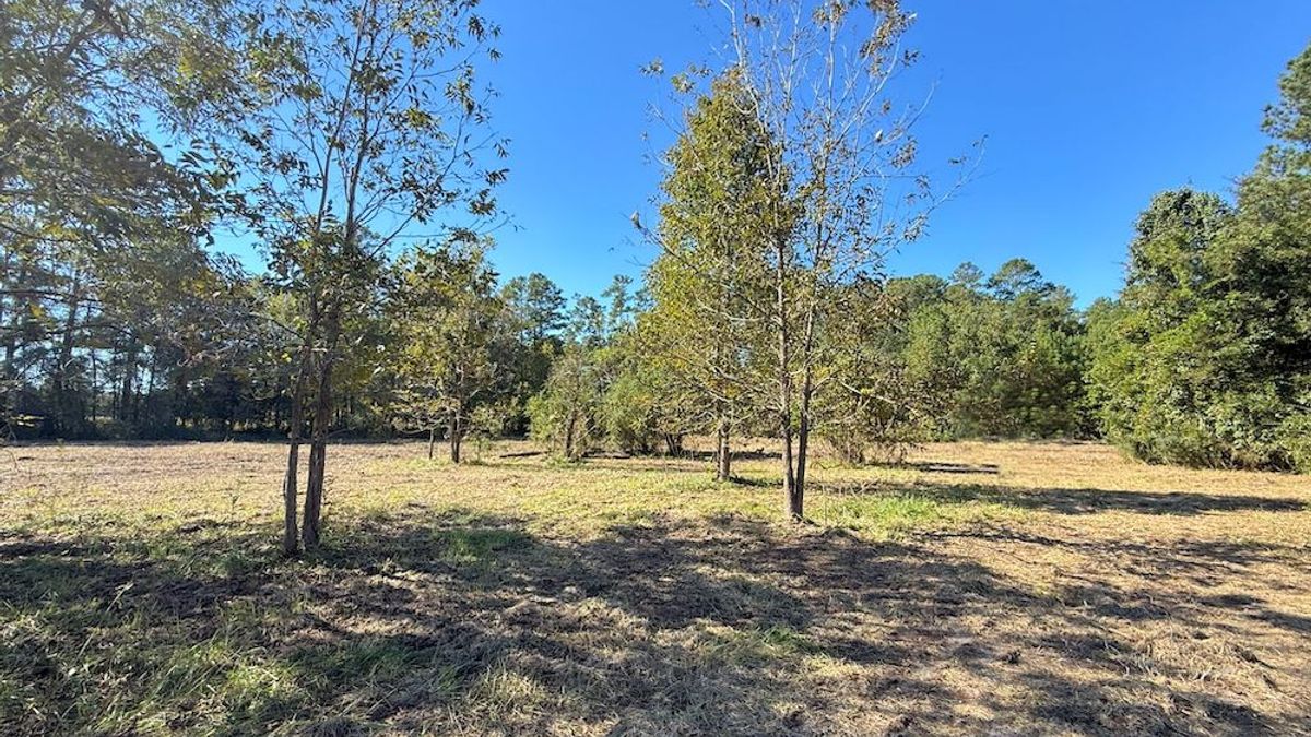 Homestead / Mini-Farm With Room To Roam, 38 Miles To Myrtle Beach ...