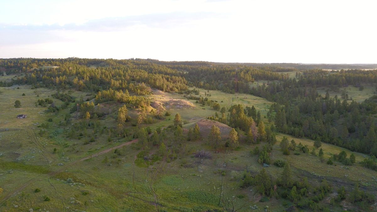 Eastern Montana's Volborg Trophy Ranch Is For Sale | Whitetail Properties