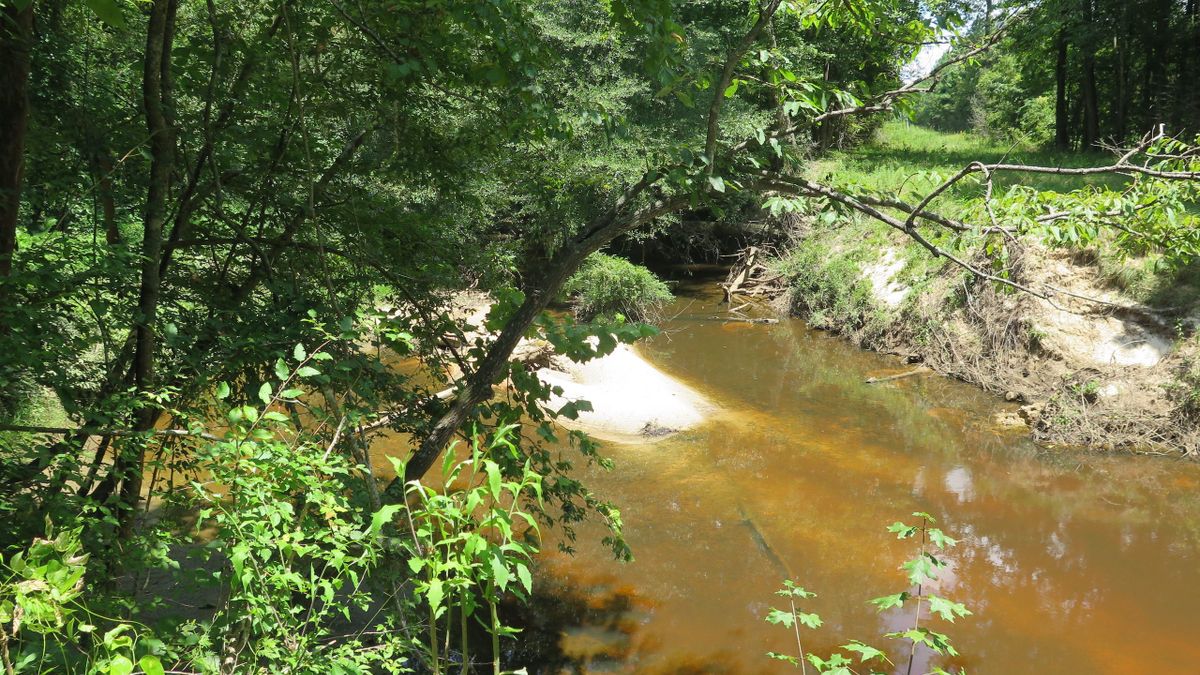 Hunting Parcel With Running Creek And Highway Frontage Near Pachuta MS ...