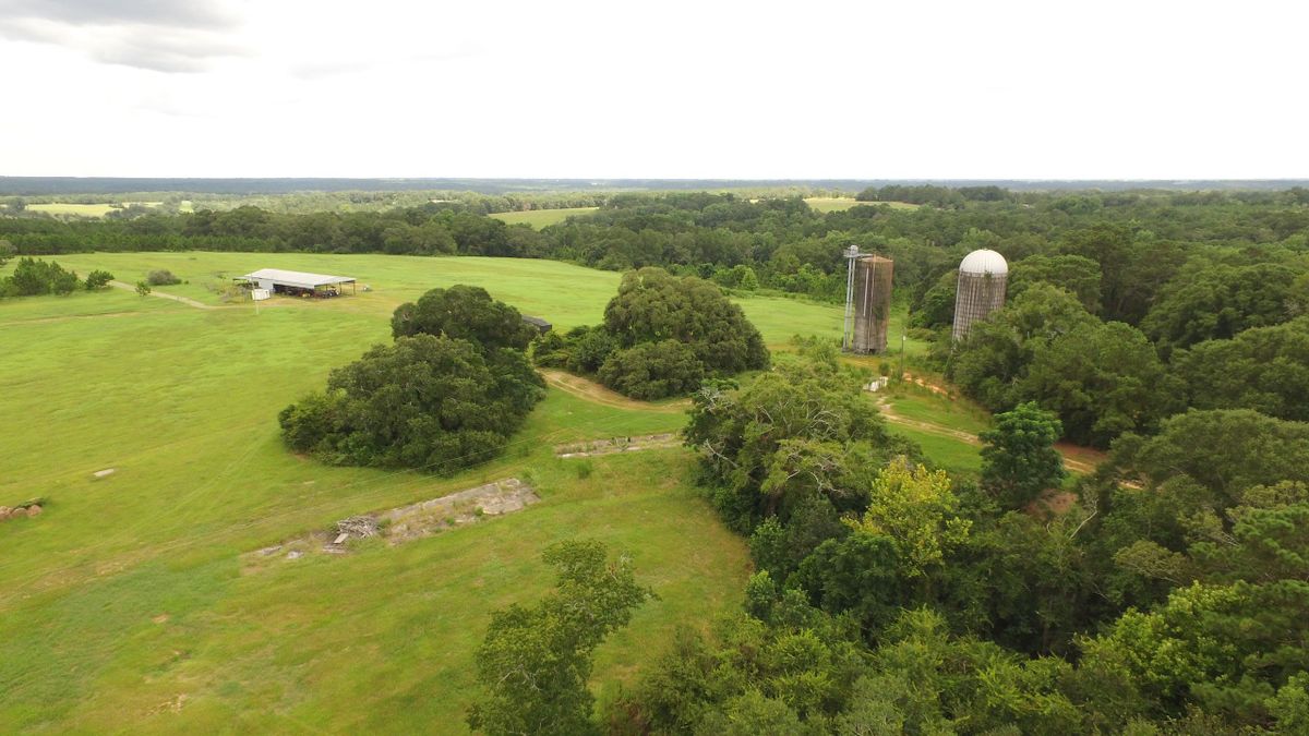 Hunting, Recreational, Horse And Cattle Property Located In The ...