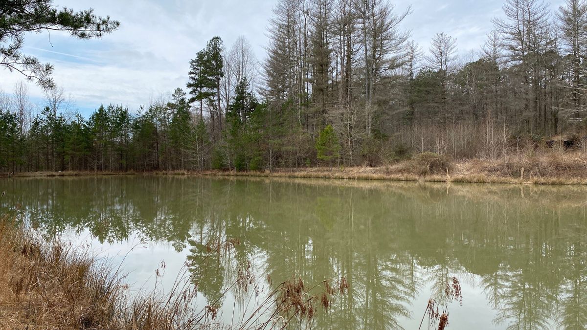 Large Hunting/ Recreational Tract With Pond Bordering The Highlands ...